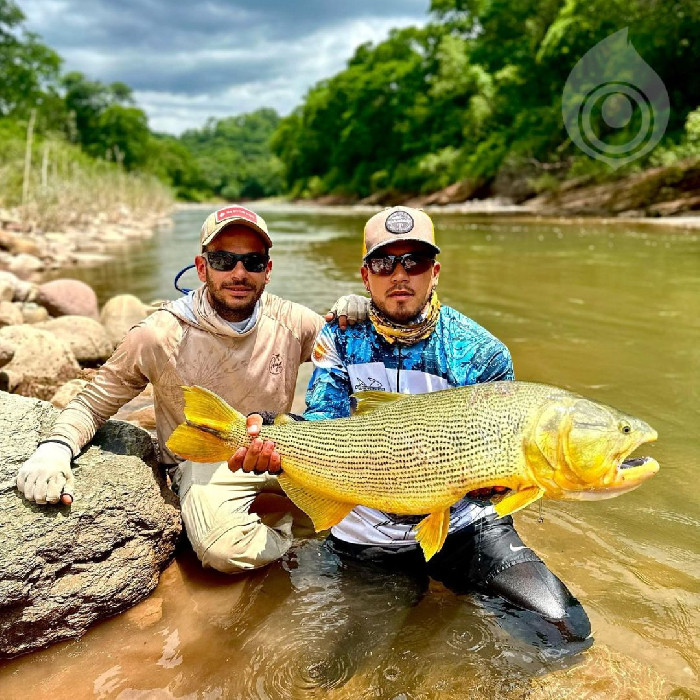 YUNGA CAMP 2024.. UN GRAN INICIO :: Peacock Fly Trips